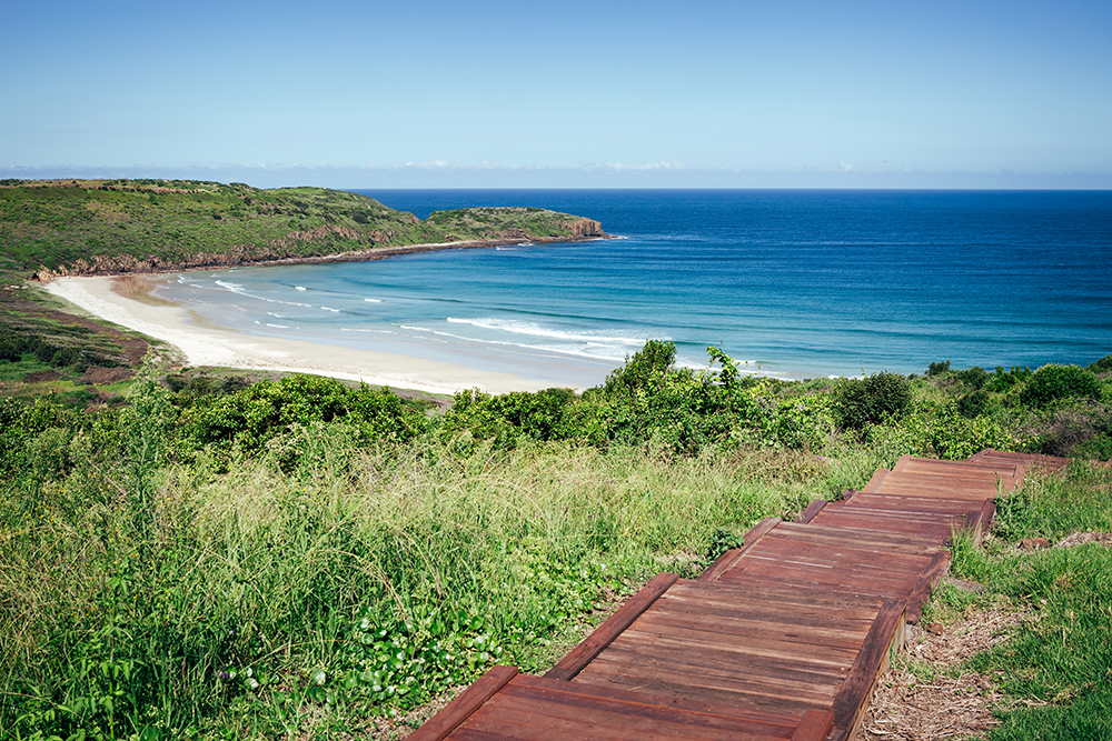 Killalea // The Farm – Coastline Visions
